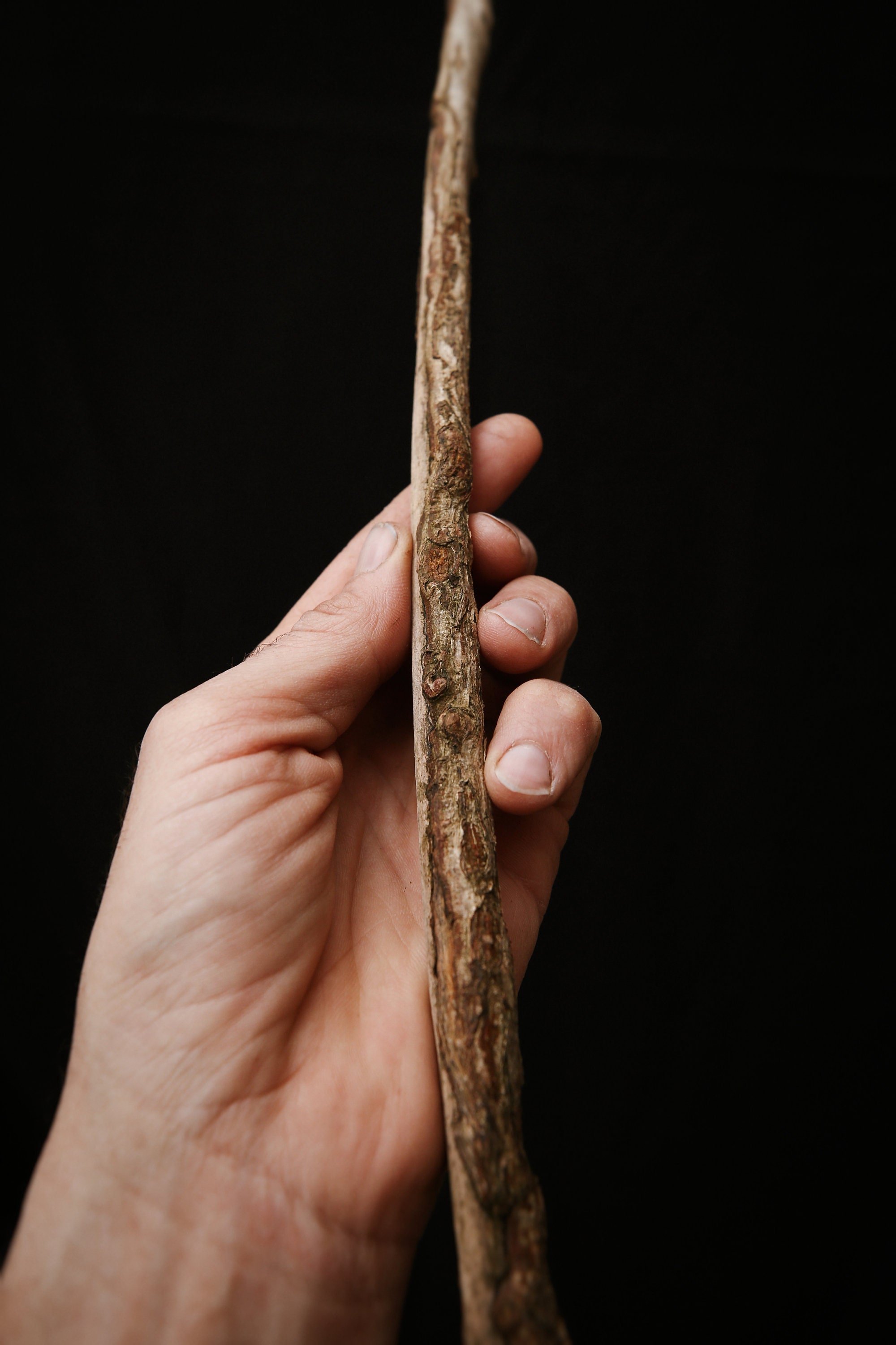 Magic Wand Made of Hazel Wood - Etsy