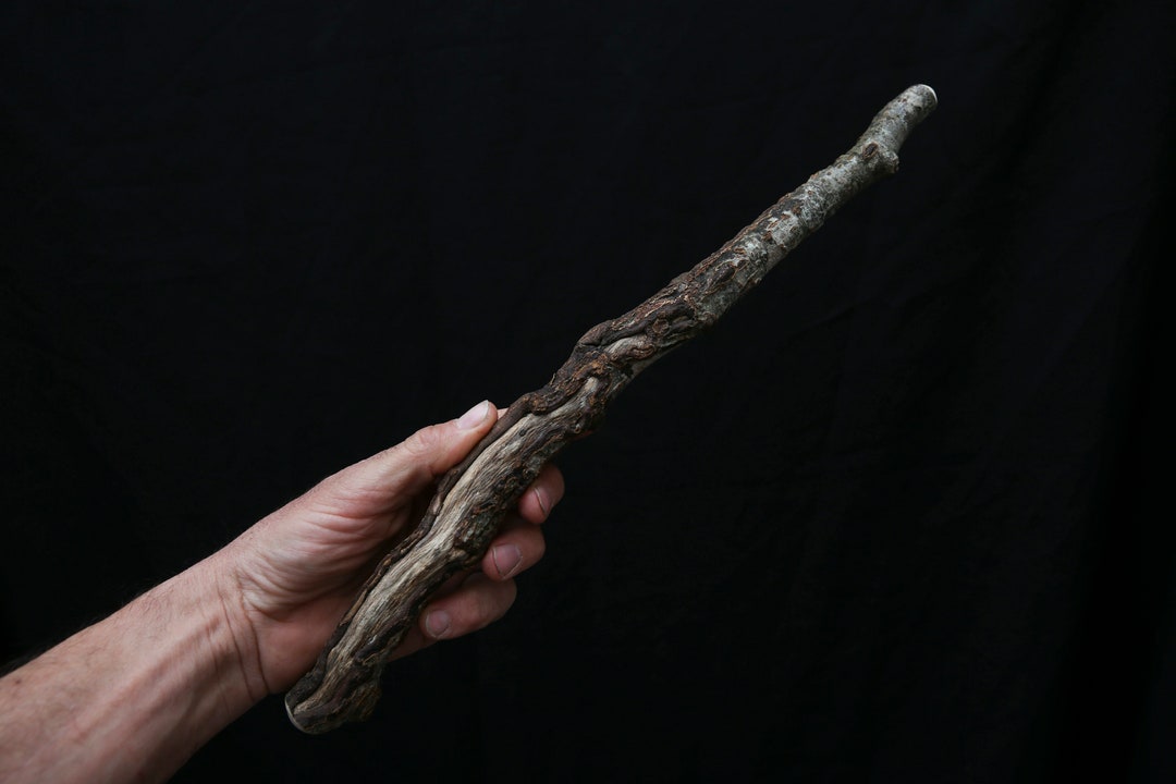 Beech Wood Magic Wand - Etsy