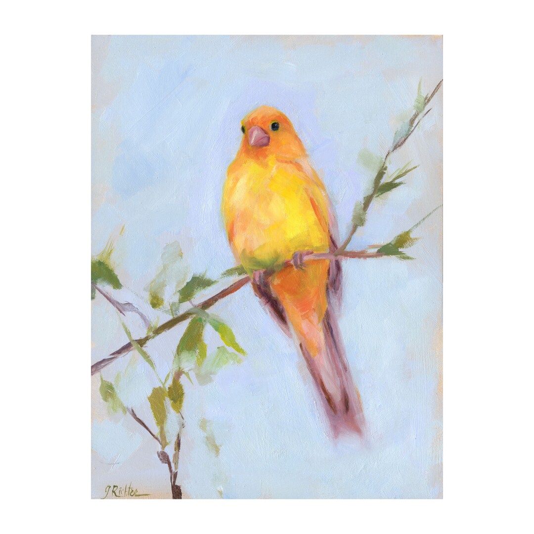 Yellow Canary on Branch - Original Art -bird Oil Painting 6"x8" on ...