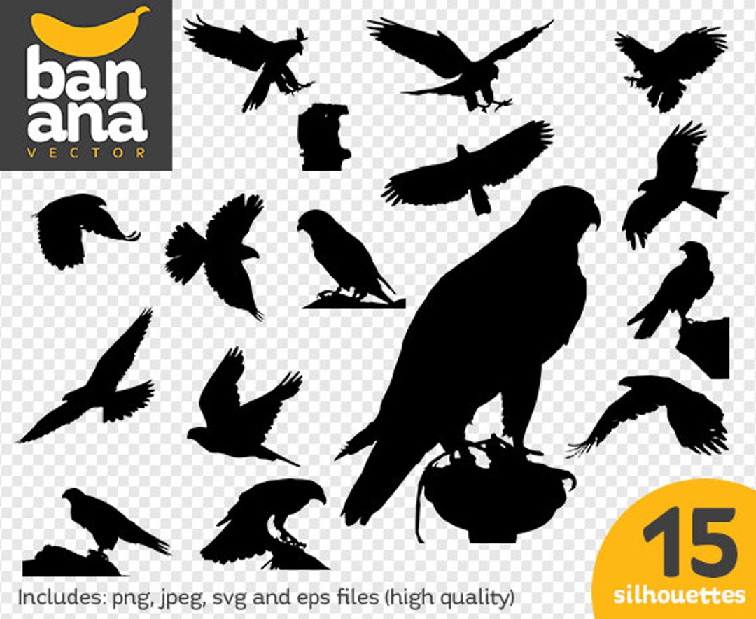 SALE Falcon Png Jpg Svg Eps Files High Resolution BV-AN-0030 - Etsy