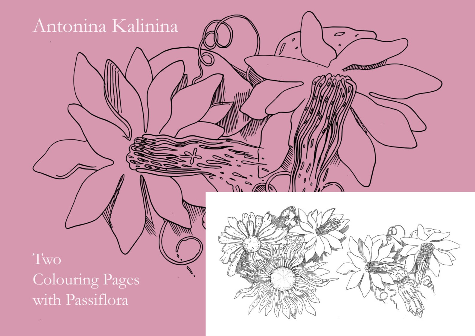 Two Colouring Pages With Tropical Flowers (passiflora). Instant ...