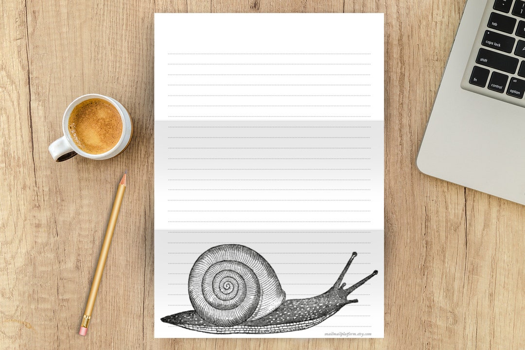Snail A4 & A5 Printable Letter Paper - Etsy