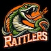 FAMU RATTLERS Sublimation, DTF and More - Etsy