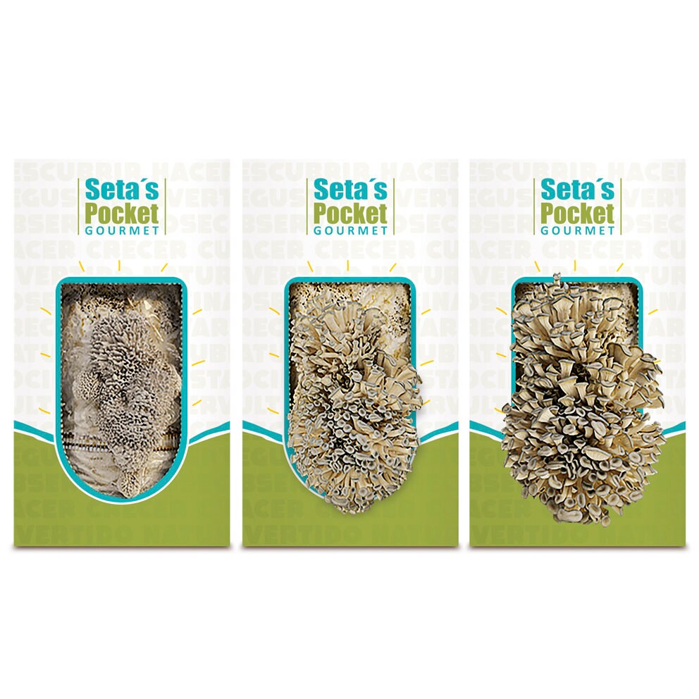 Kit cultivo de setas en casa Tu huerto urbano de setas - Etsy España