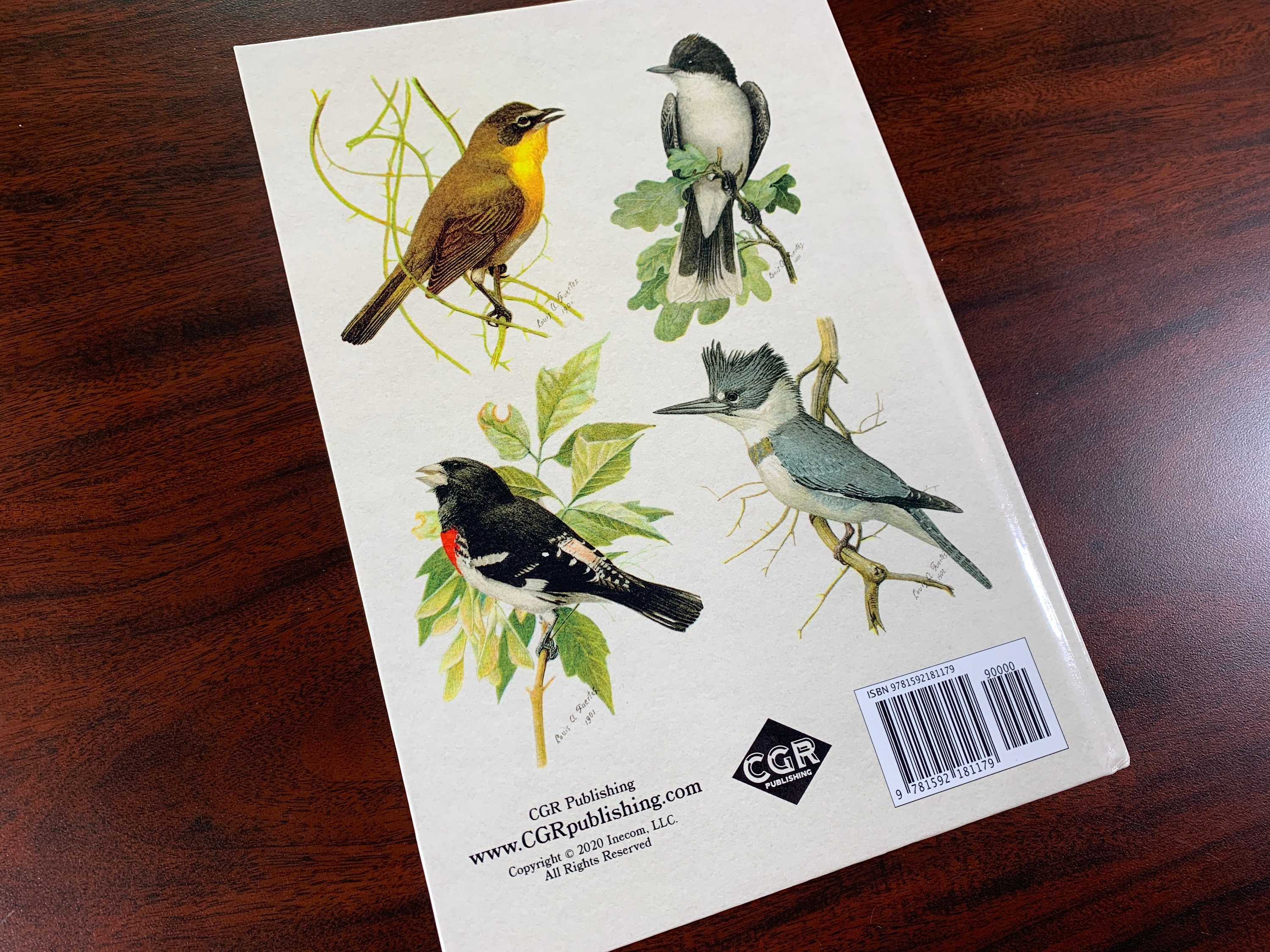 The Complete Book of Birds: Illustrated Enlarged Special Edition ...