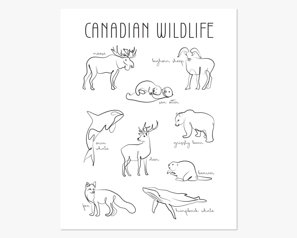 PRINTABLE Canadian Wildlife Line Art Poster Wildlife Wall - Etsy UK