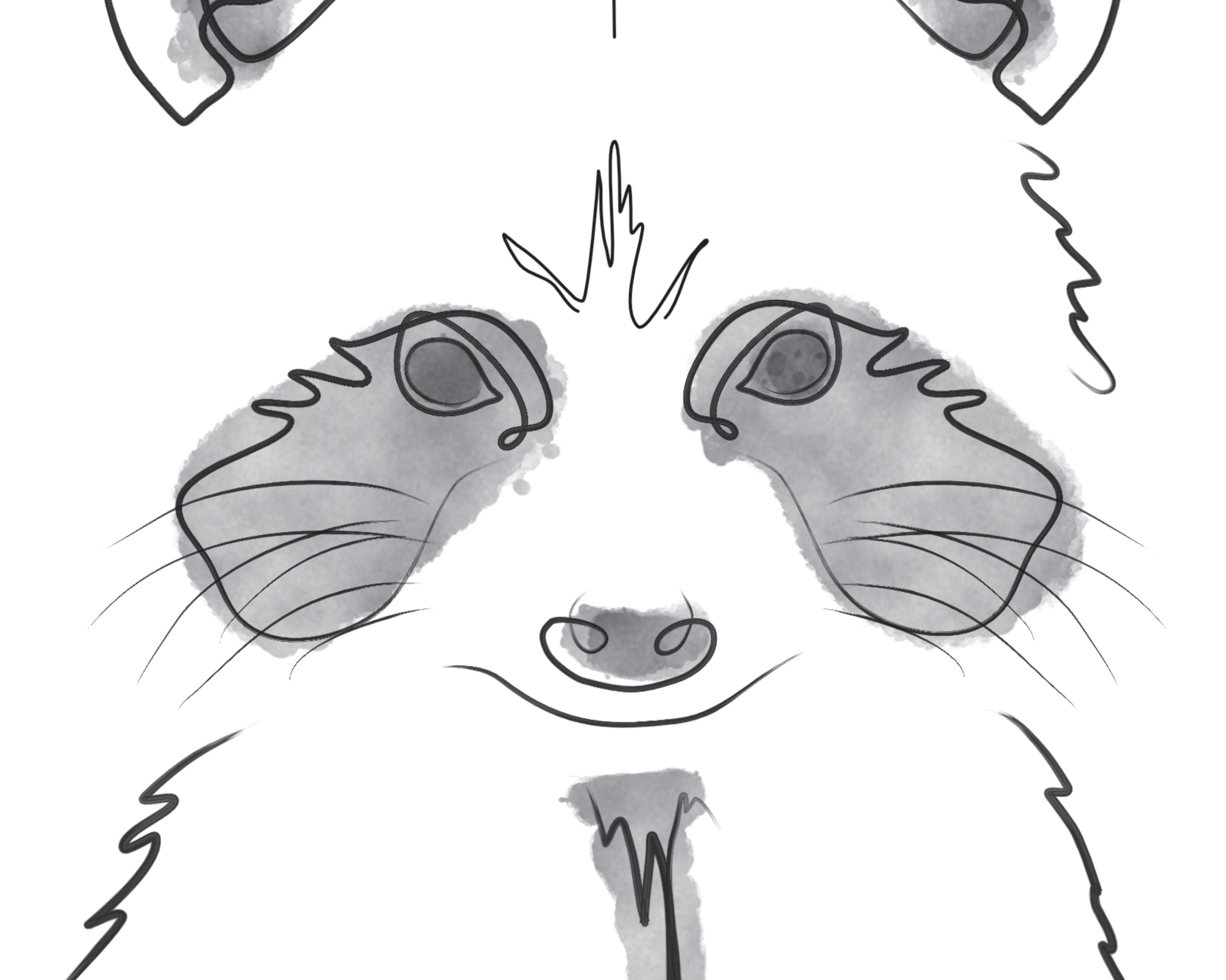 PRINTABLE Raccoon Line Art Black and White Minimalistic Print, Cute ...