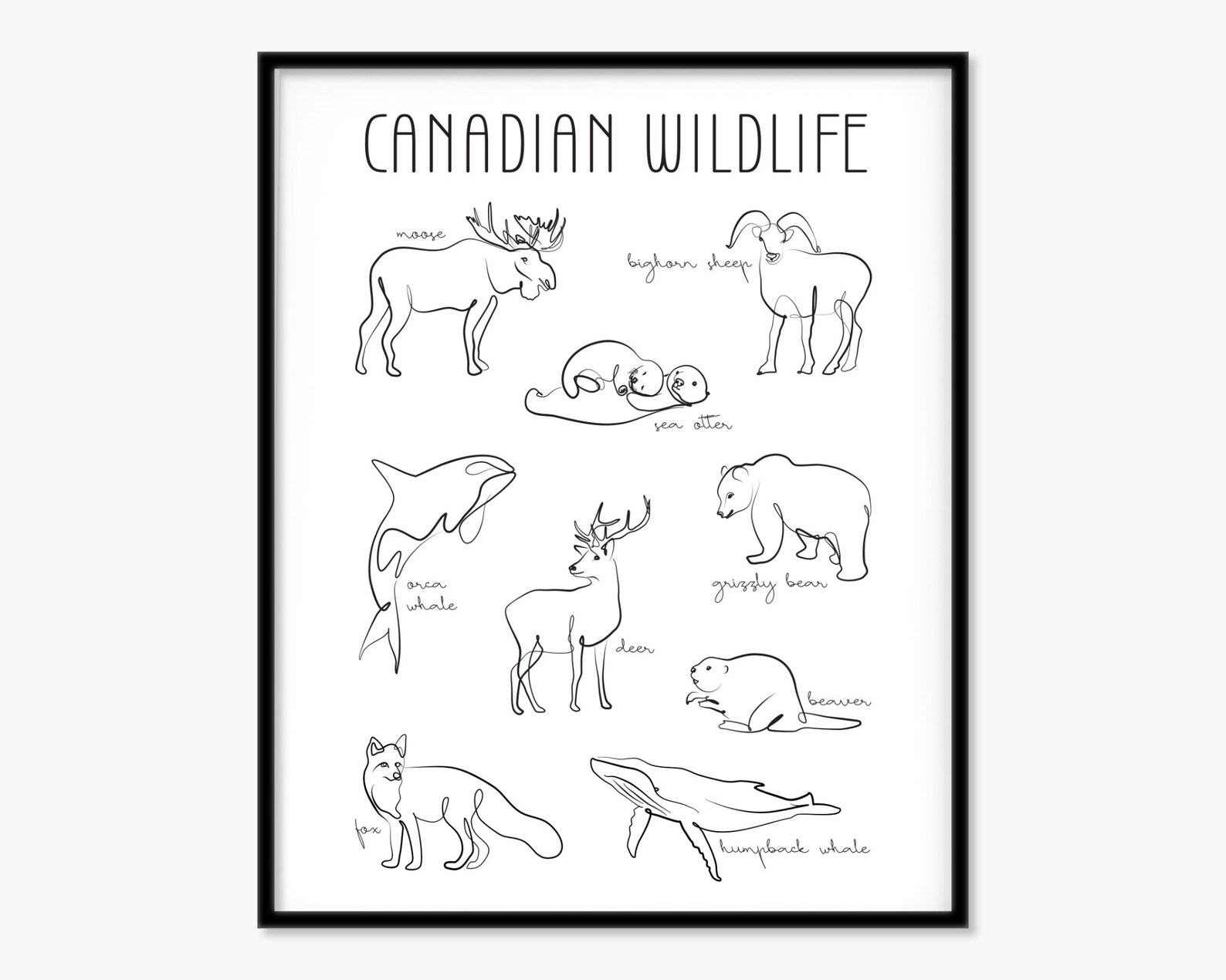 PRINTABLE Canadian Wildlife Line Art Poster Wildlife Wall - Etsy UK
