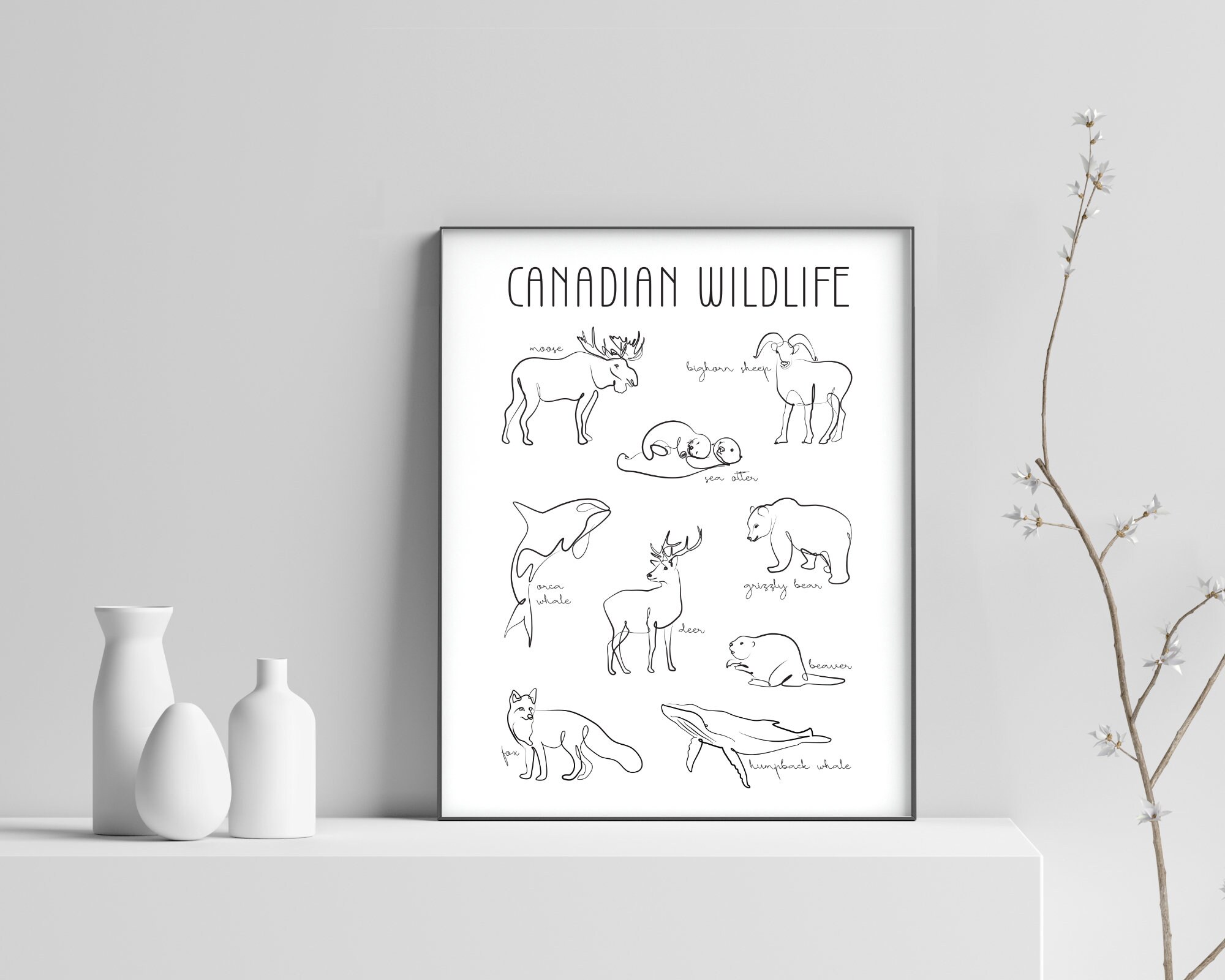 PRINTABLE Canadian Wildlife Line Art Poster Wildlife Wall - Etsy UK