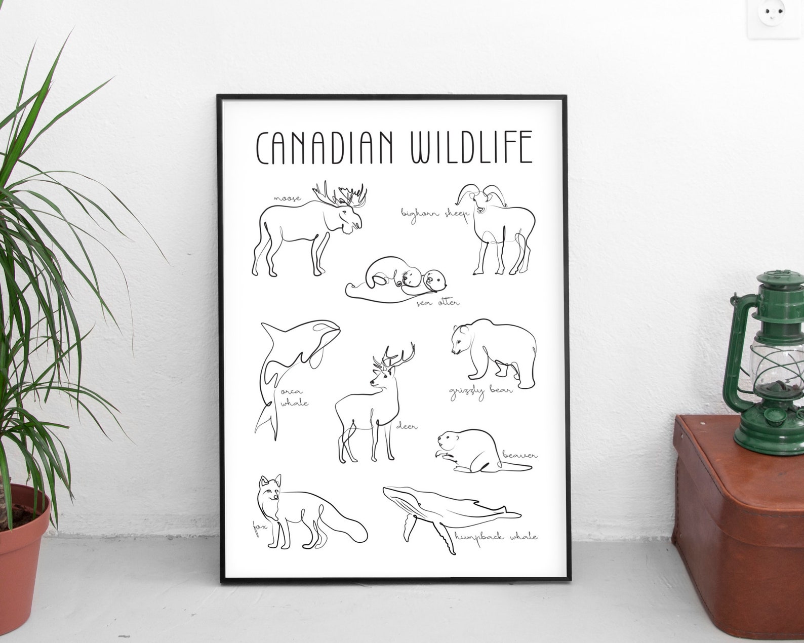 PRINTABLE Canadian Wildlife Line Art Poster Wildlife Wall - Etsy UK