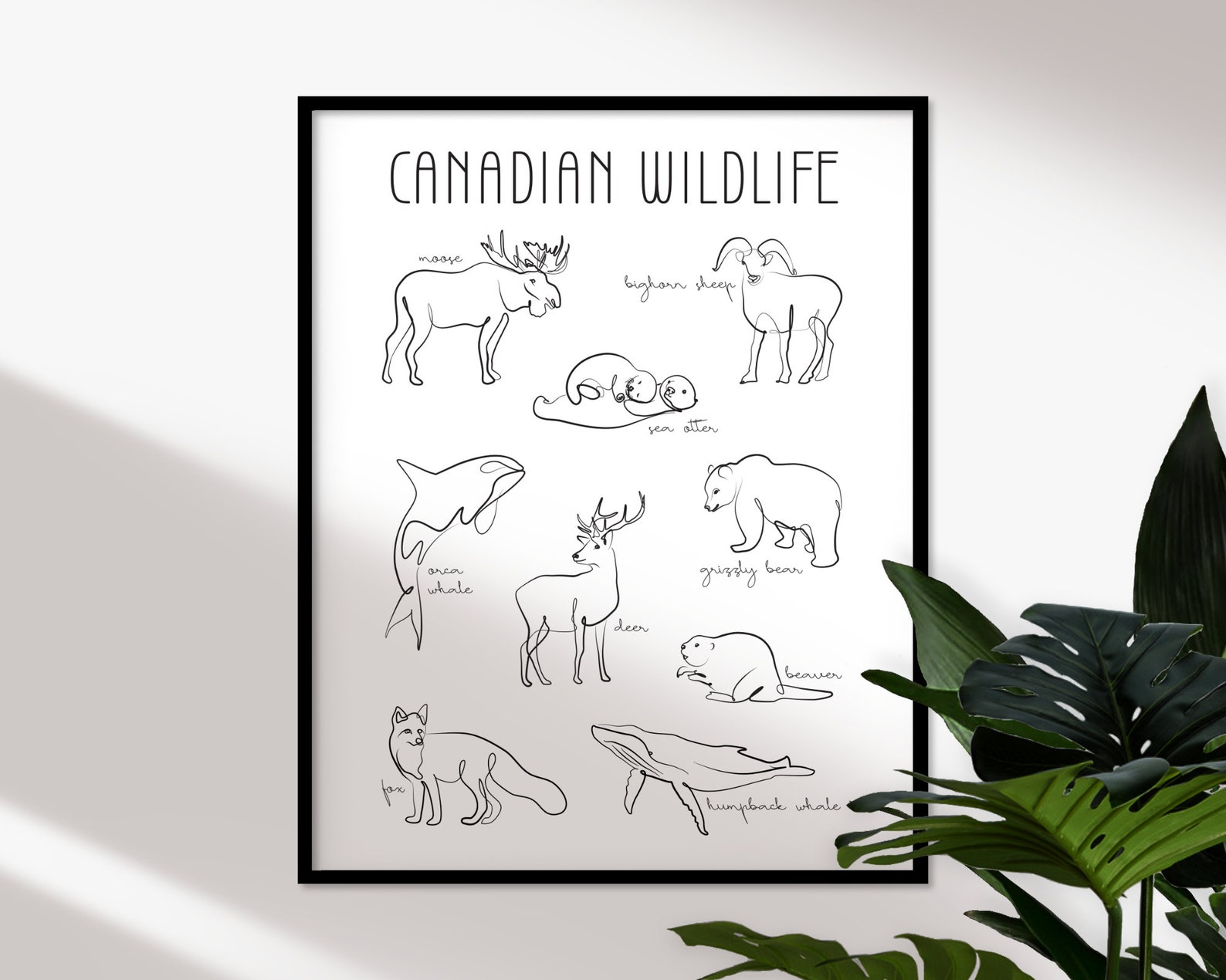 PRINTABLE Canadian Wildlife Line Art Poster Wildlife Wall - Etsy UK