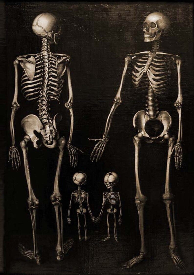 Skeleton Family Print with 2 and 3 kids Funny Skeleton Art | Etsy