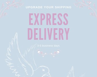 Express Mail Shipping Service and Rush Order Upgrade first Class to ...