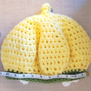 Strawbery Shortcake , LEMON MERINGUE Character Inspired Hat, Cosplay ...