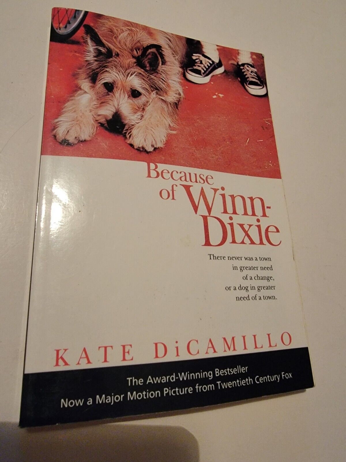 Because Of Winn Dixie Book Cover