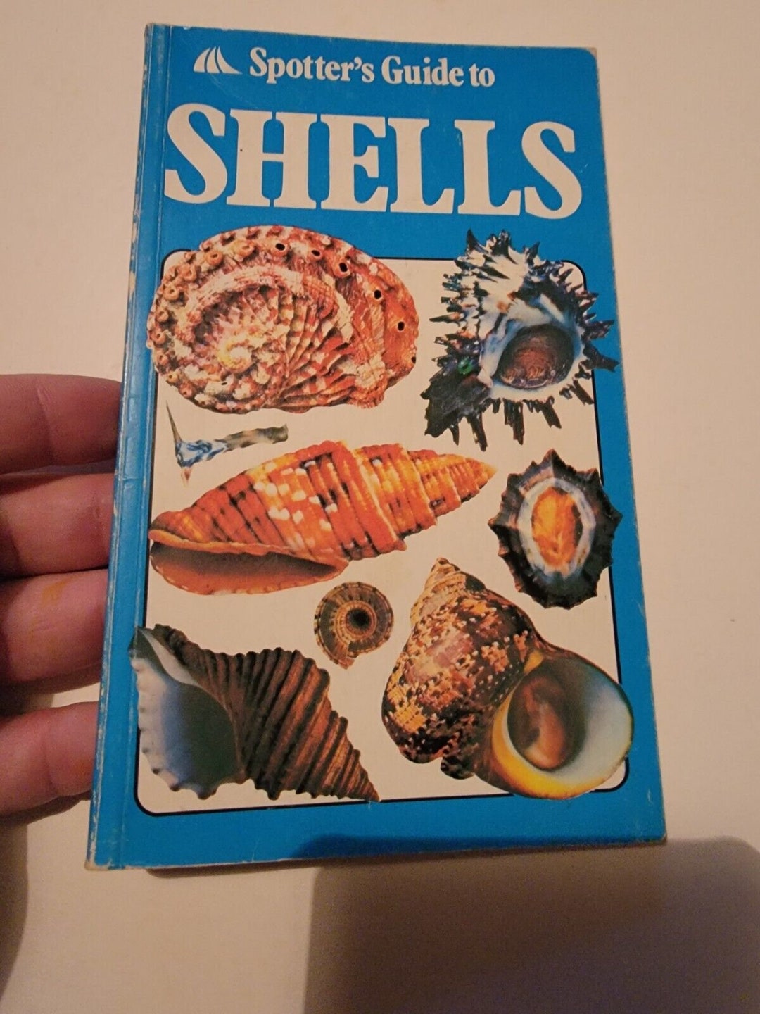 Spotter's Guide to Shells: an Introduction to Seashells of - Etsy