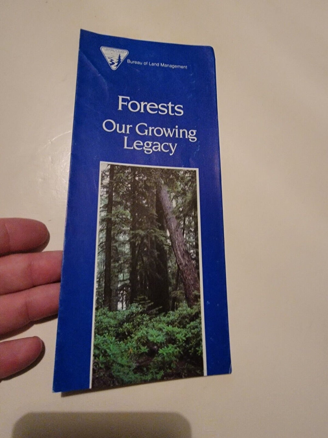 Vintage Brochure Travel Pamphlet Booklet Handout BLM Forest Our Growing ...