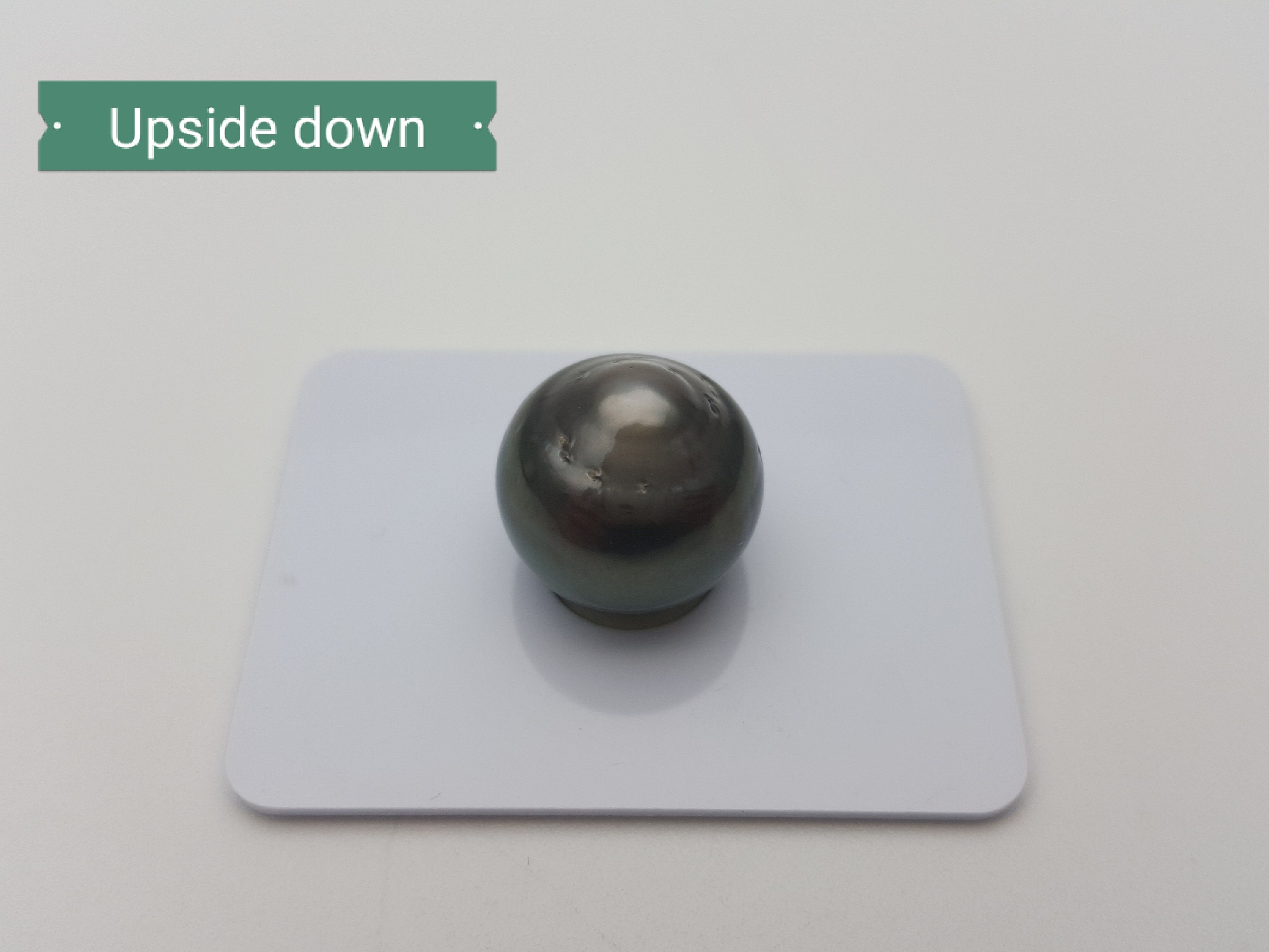 Tahitian Pearl- A Big Button Shape Black Tahiti Cultured Pearl - Etsy