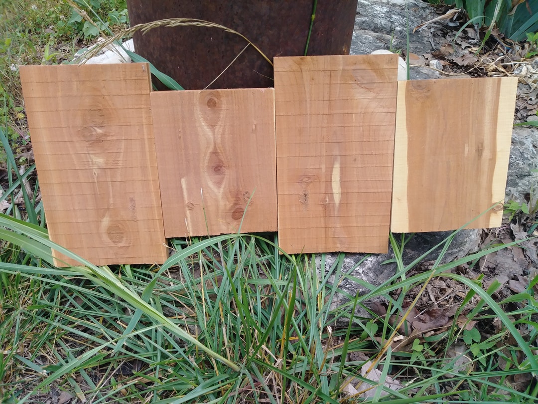 You Create It Red Cedar Sign Blanks, Large - Etsy