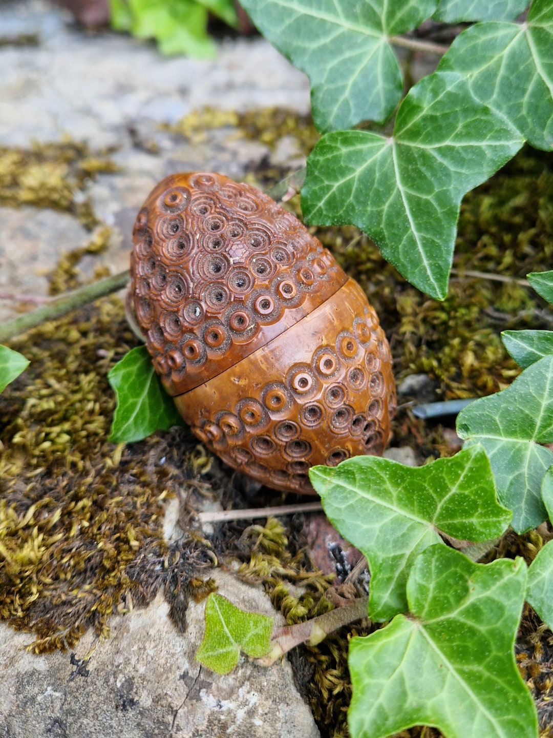 Antique Corozzo Egg 19th Century Storage Box Rosary French Vintage ...
