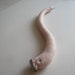Clip on Mouse Tail Made of Pink Felt Suitable for Children and Adults ...