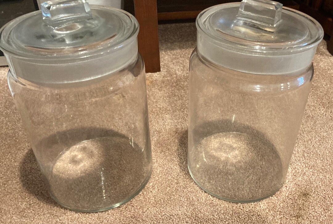1890-1910 Antique Block Top Smithsonian Museum Specimen Jars Pair - Etsy