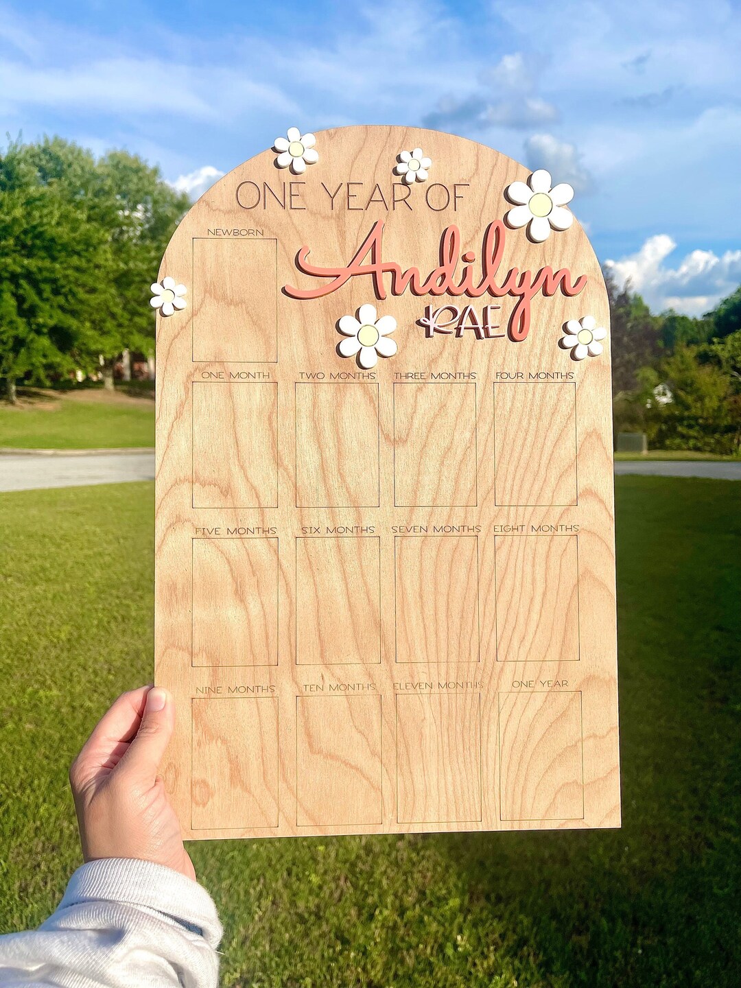 My First Year Photo Board︱daisy Birthday Board | Baby 1st Birthday Sign ...