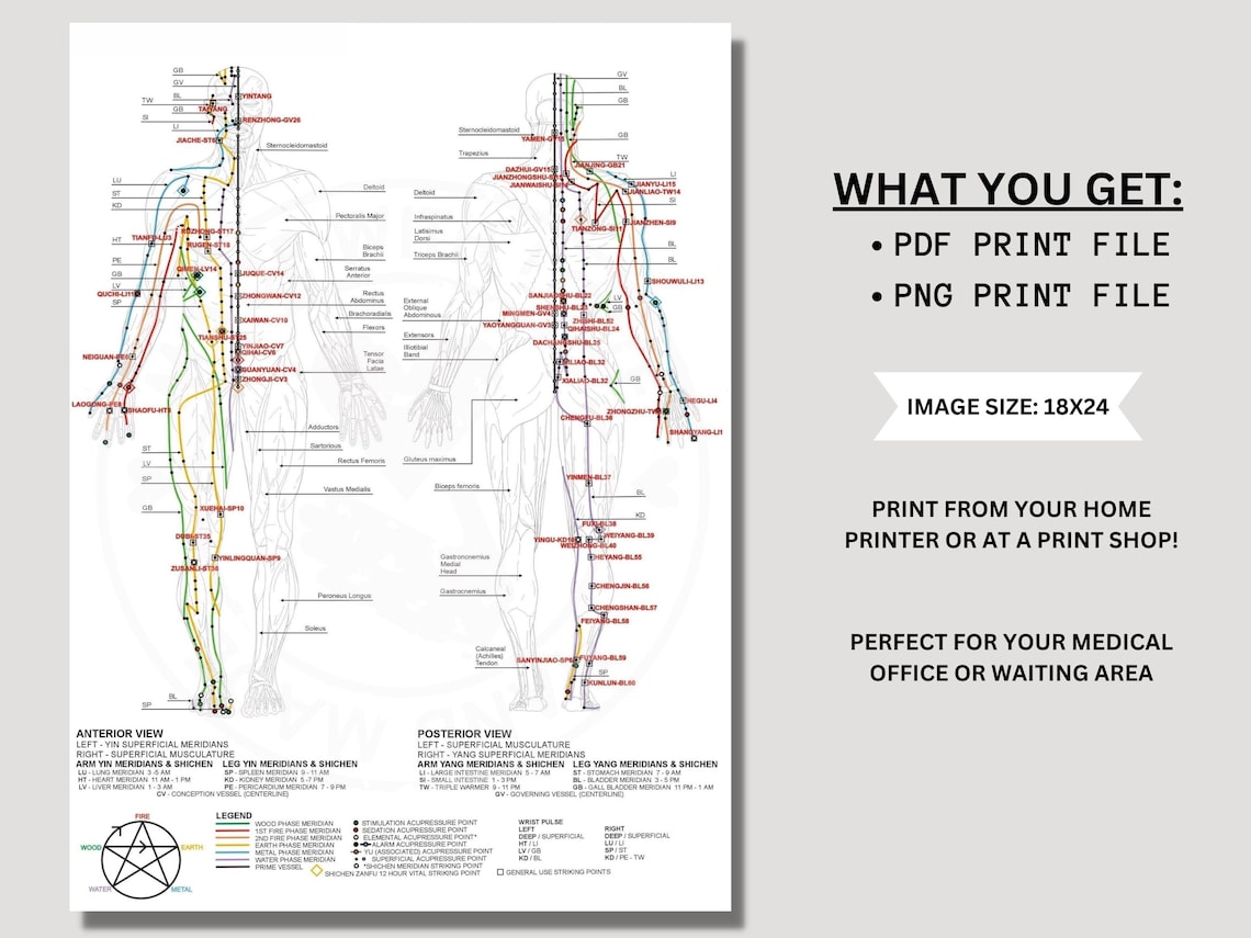 Five Elements Theory Chinese Meridians Chart Acupuncture Printable ...