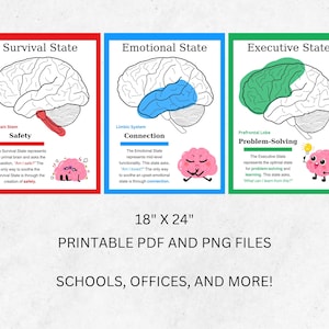 Brain Anatomy Poster Printable PDF PNG Wall Art Human Anatomy Therapy ...