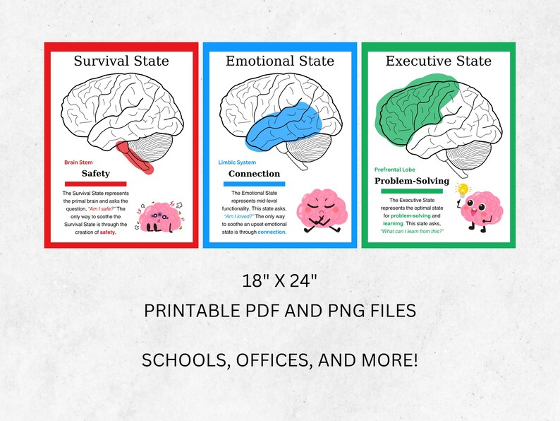 Brain States Poster Printable PDF PNG Wall Art Human Anatomy Therapy ...