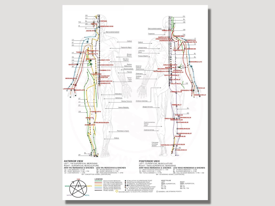 Five Elements Theory Chinese Meridians Chart Acupuncture Printable ...