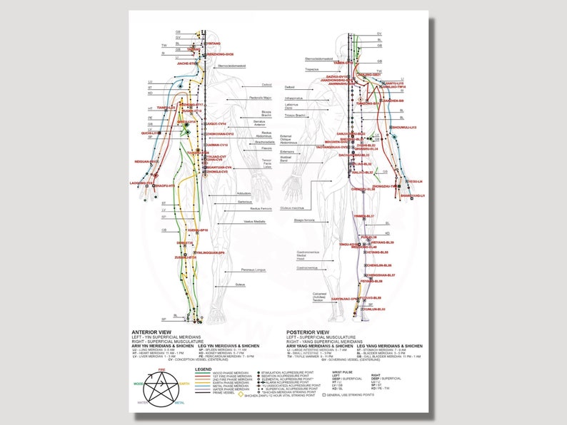 Five Elements Theory Chinese Meridians Chart Acupuncture Printable ...