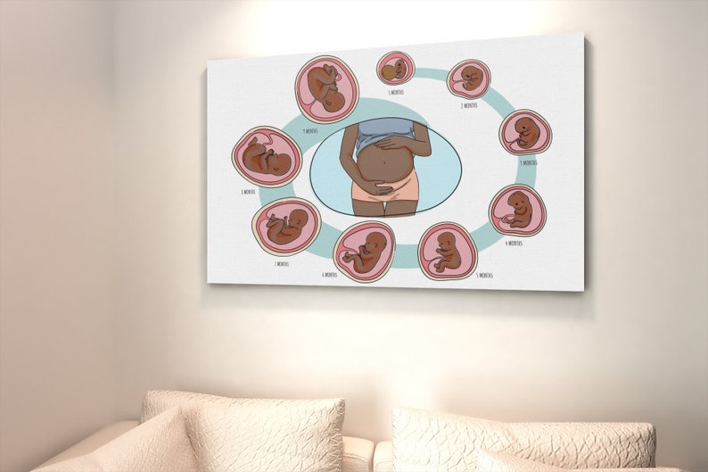 Prenatal African American Anatomy Fetus Infographic for Pregnancy ...