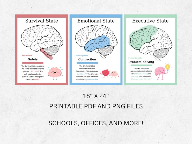 Brain Anatomy Poster Printable PDF PNG Wall Art Human Anatomy Therapy ...