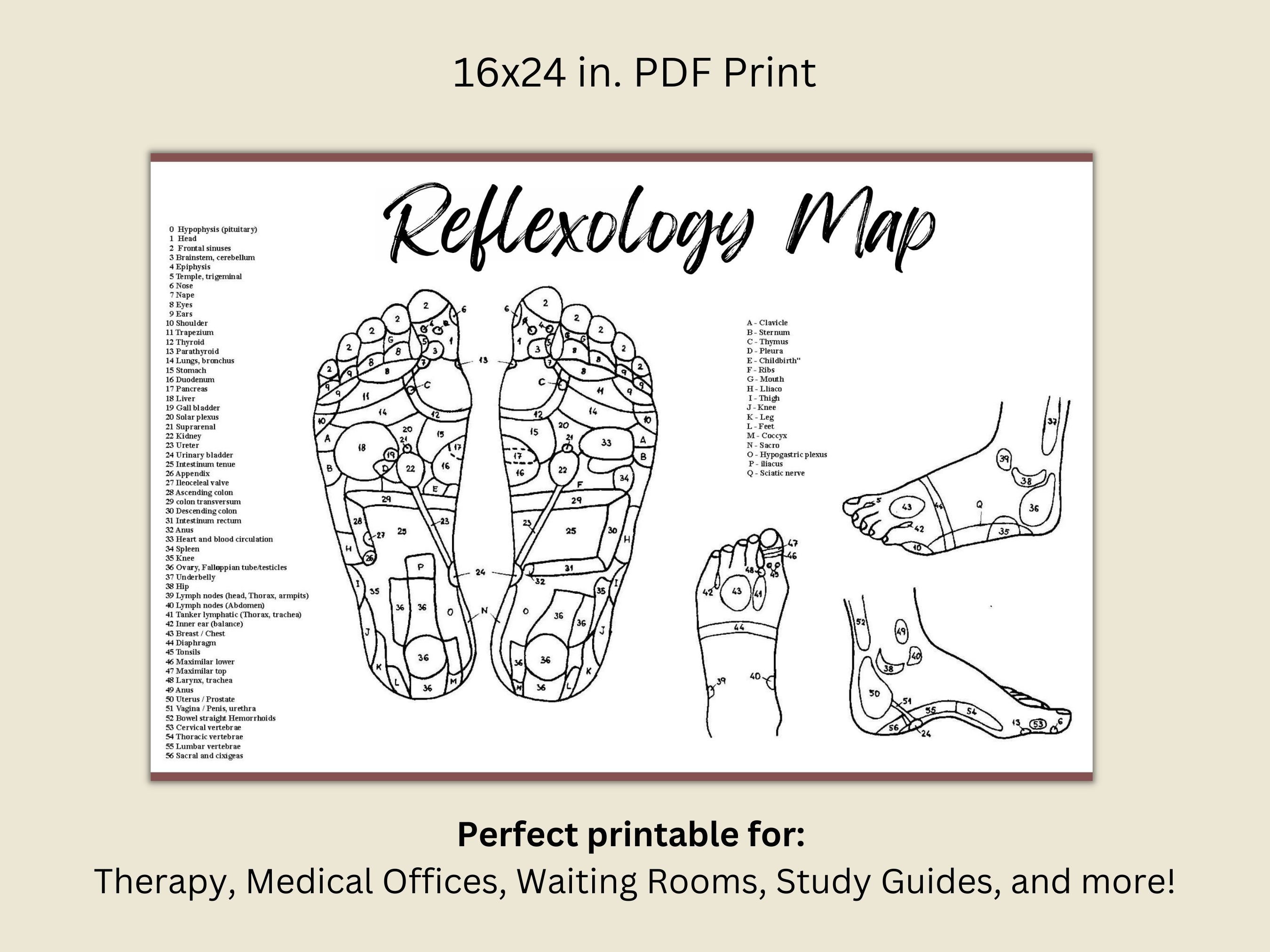 Foot Reflexology Map Chart Instant Download Printable Wall Art Poster ...