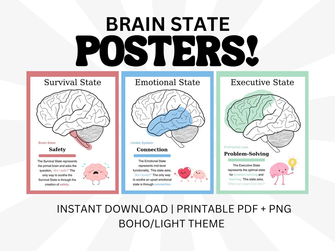 Brain Anatomy Poster Printable PDF PNG Wall Art Human Anatomy Therapy ...