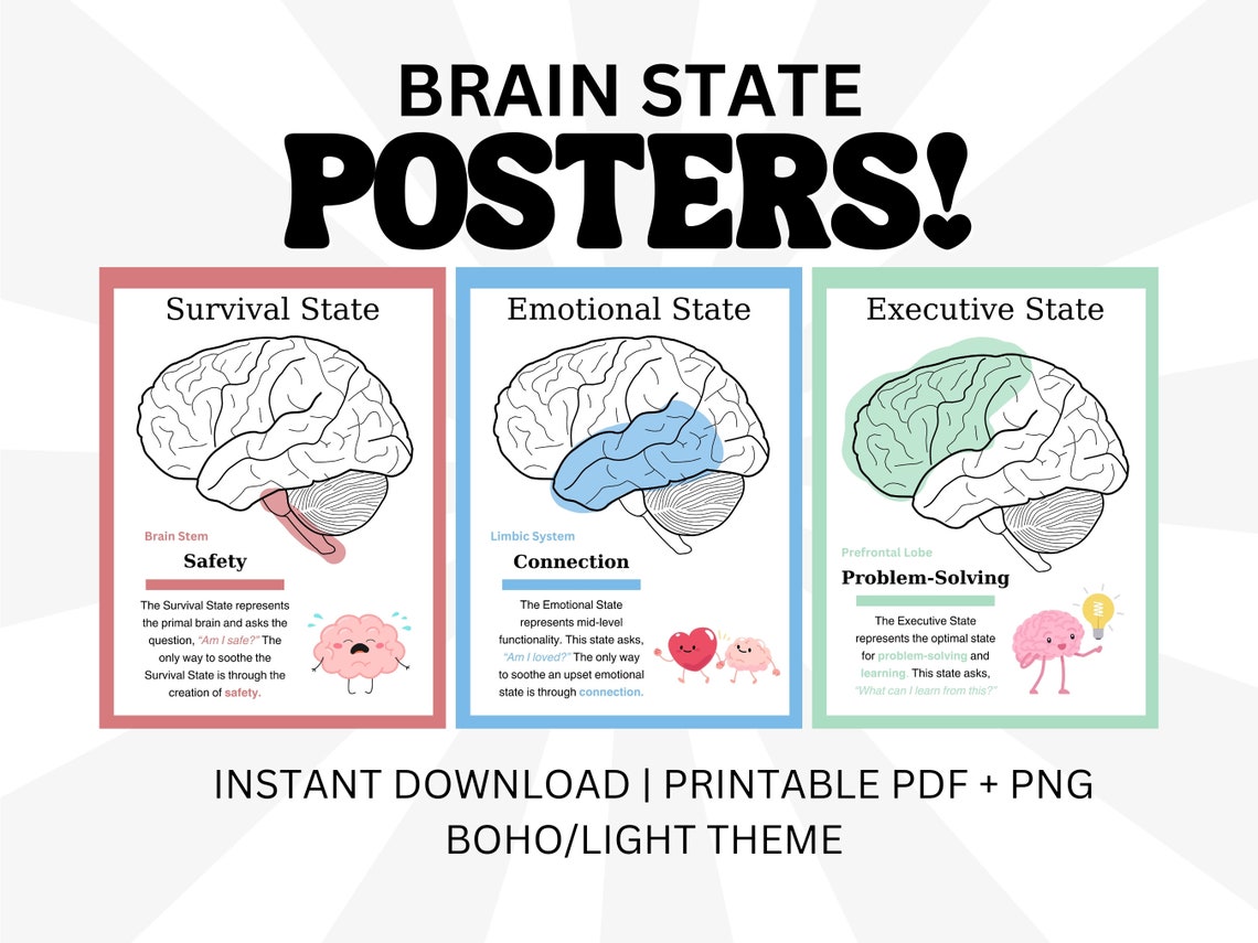 Brain Anatomy Poster Printable PDF PNG Wall Art Human Anatomy Therapy ...