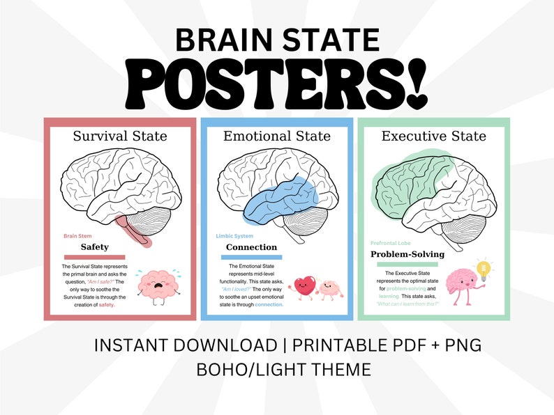 Brain Anatomy Poster Printable PDF PNG Wall Art Human Anatomy Therapy ...