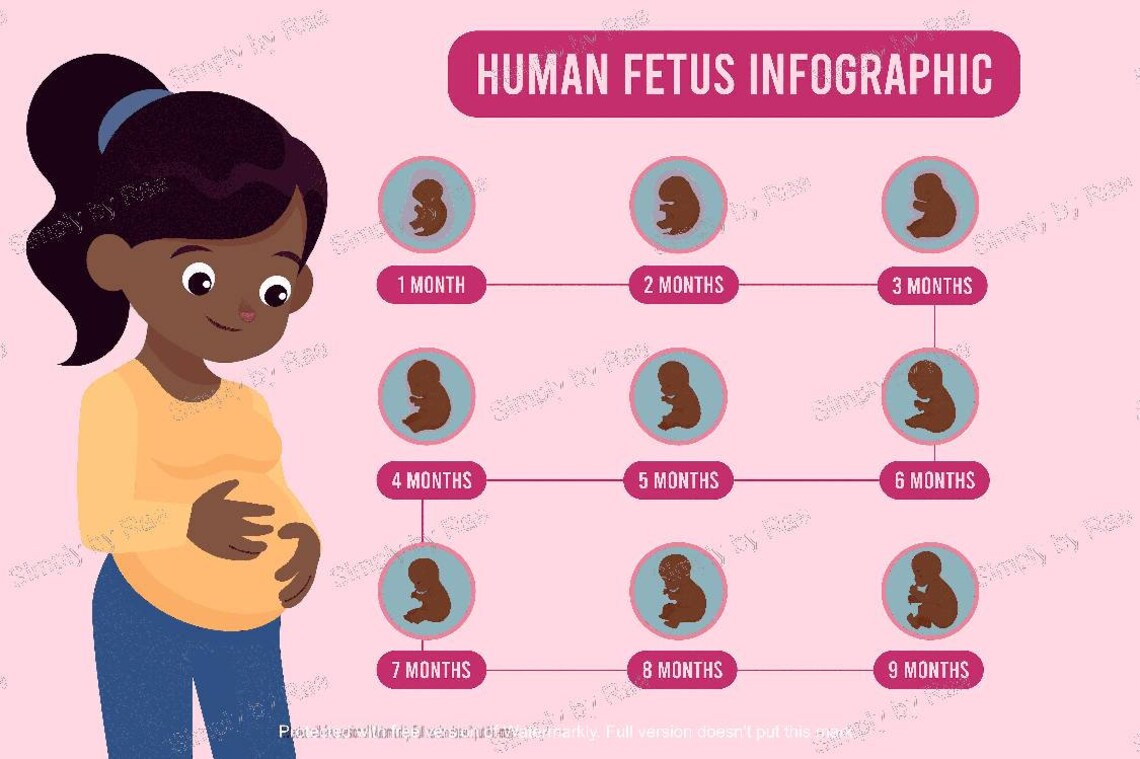 Prenatal African American Anatomy Fetus Infographic for Pregnancy ...