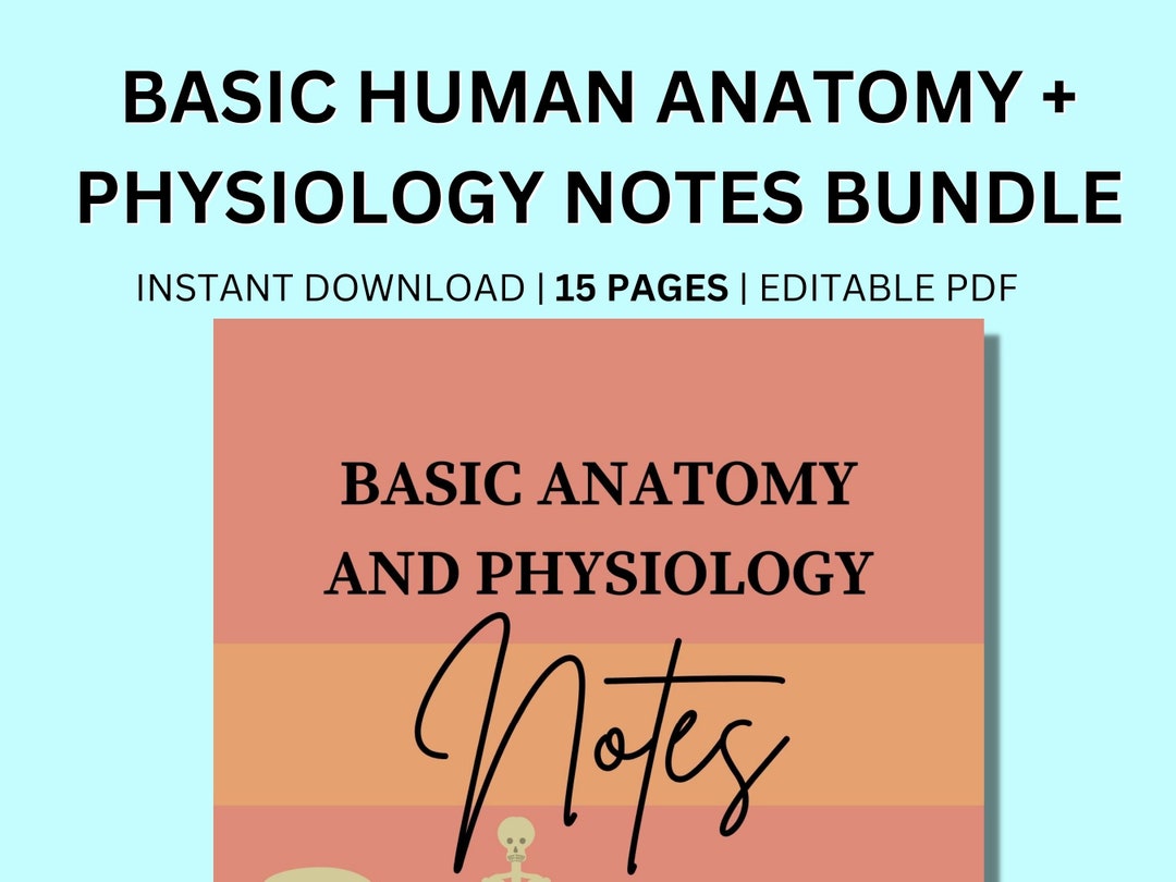 Human Anatomy Study Guide Notes PDF Instant Digital Download - Etsy