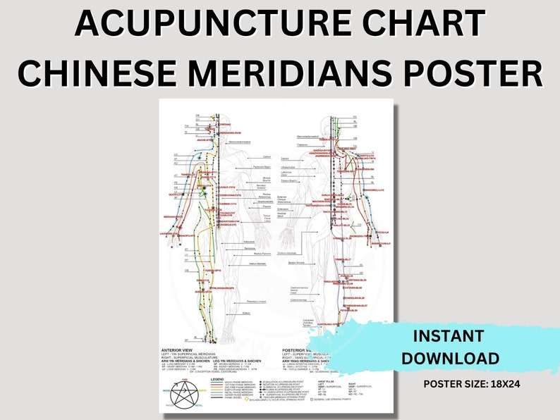 Five Elements Theory Chinese Meridians Chart Acupuncture Printable ...