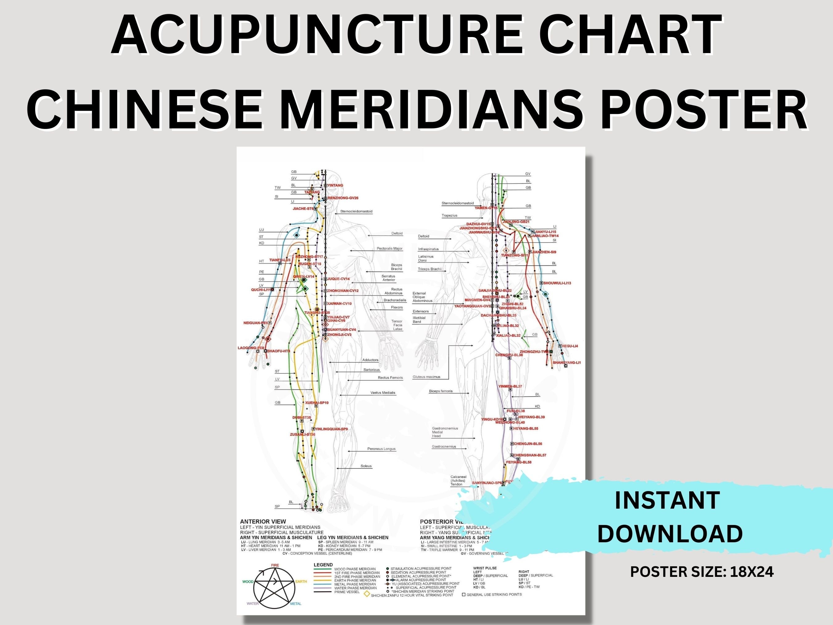 Chinese Meridian Chart