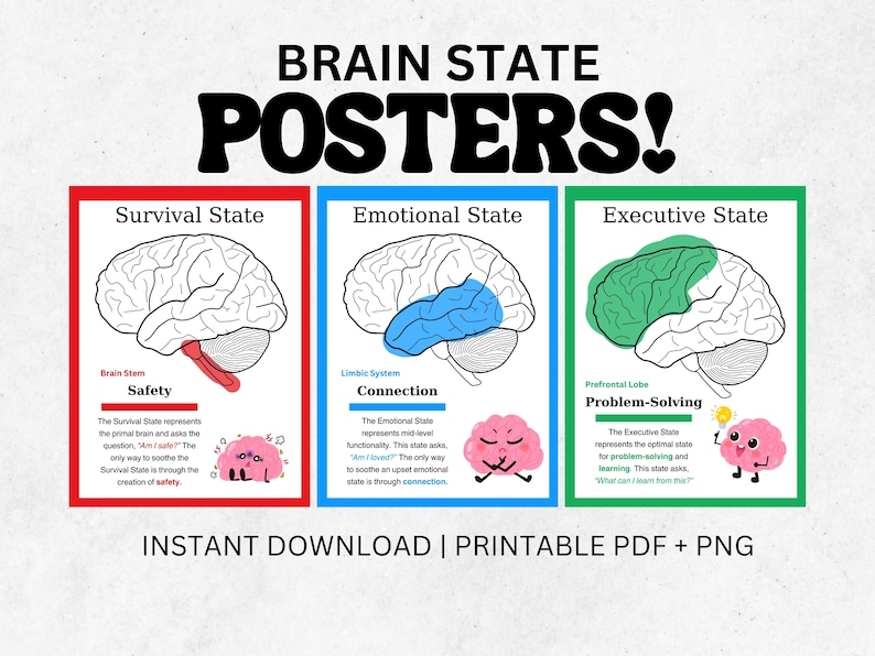 Cartel de anatomía cerebral imprimible PDF PNG pared arte anatomía ...