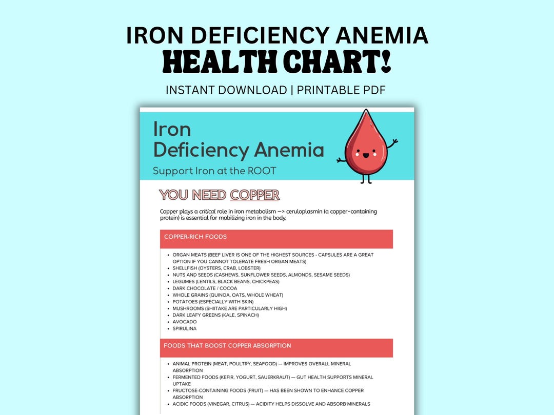 Iron Deficiency Anemia Food List | Copper Ceruloplasmin Support PDF ...