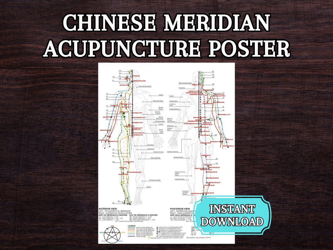 Five Elements Theory Chinese Meridian Chart Acupuncture Printable ...