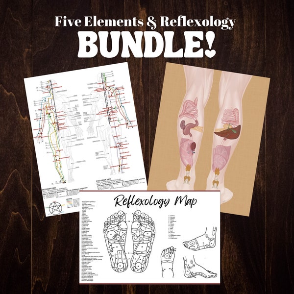 Reflexology Poster - Etsy