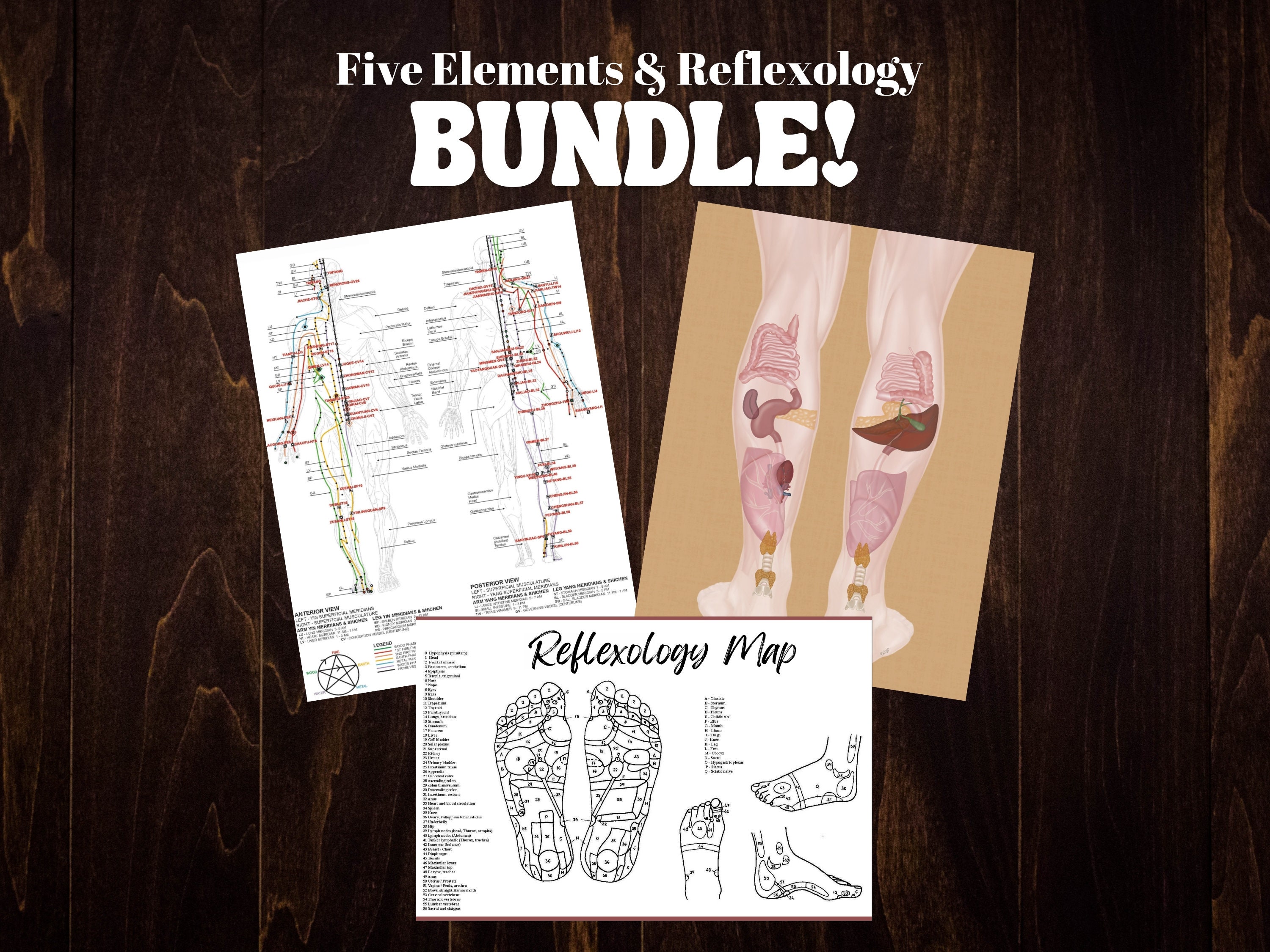 Acupuncture Meridians Chart: Five Elements Theory, Reflexology (digital ...