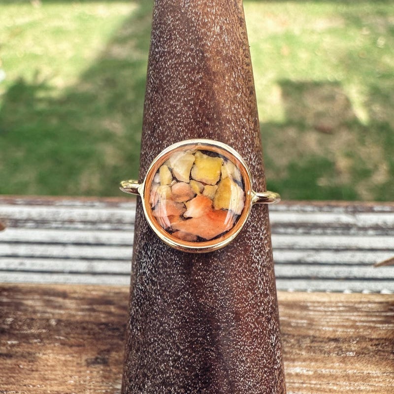 Sunrise Shell - Etsy