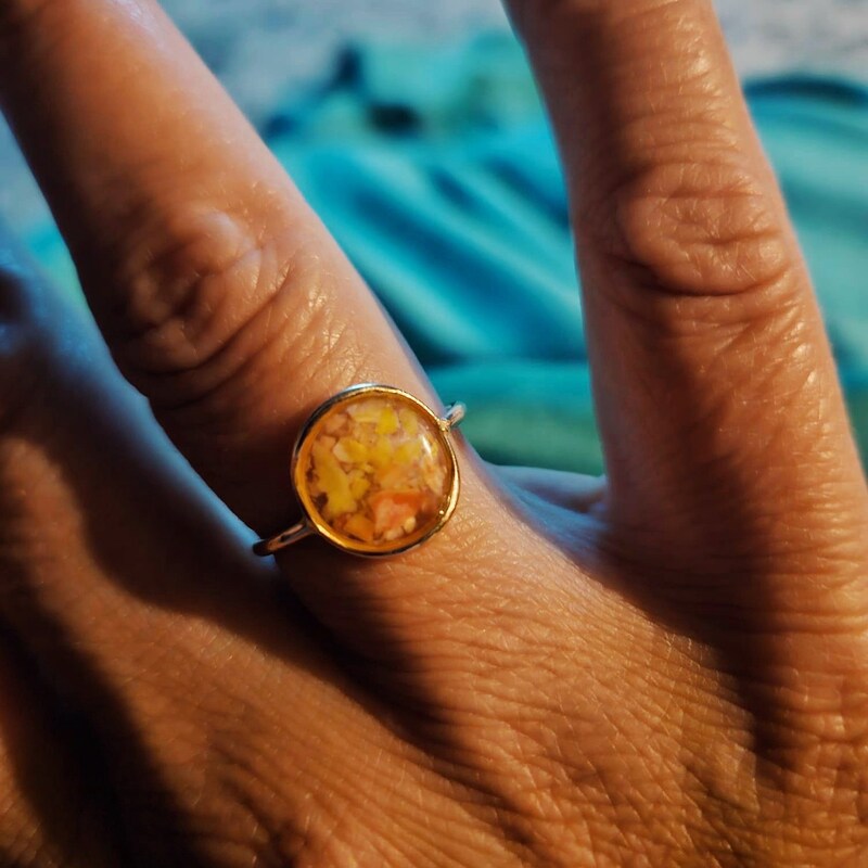 Sunrise Shell - Etsy