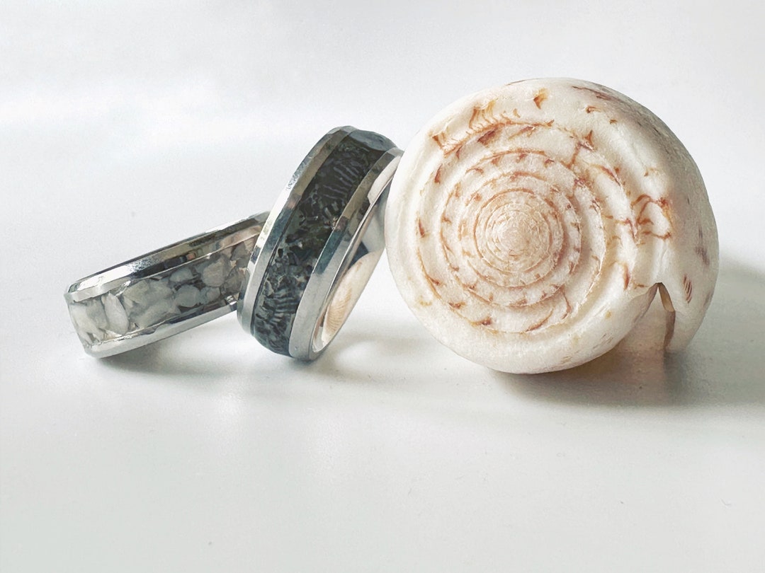 Hawaiian Shell Resin Ring, Stainless Steel, Beach Shell Ring, Black Opihi Shell Ring - Etsy